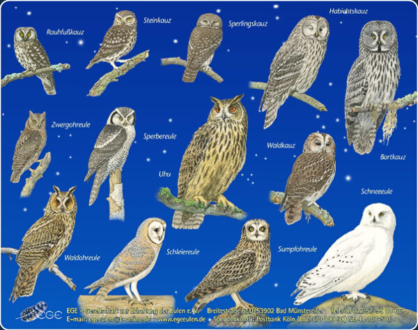 Infomaterial - Gesellschaft zur Erhaltung der Eulen e.V. (EGE)